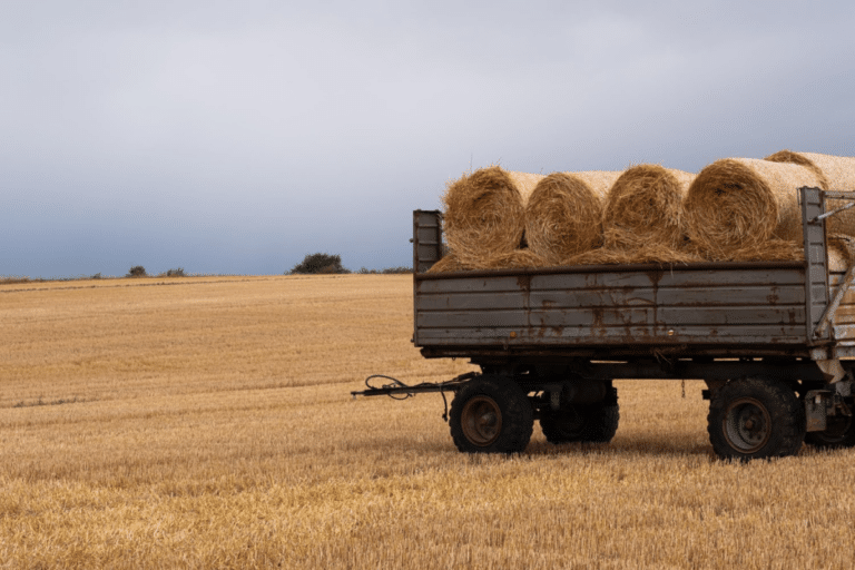 10 Important Farming Tools and Equipment For Modern Farmers