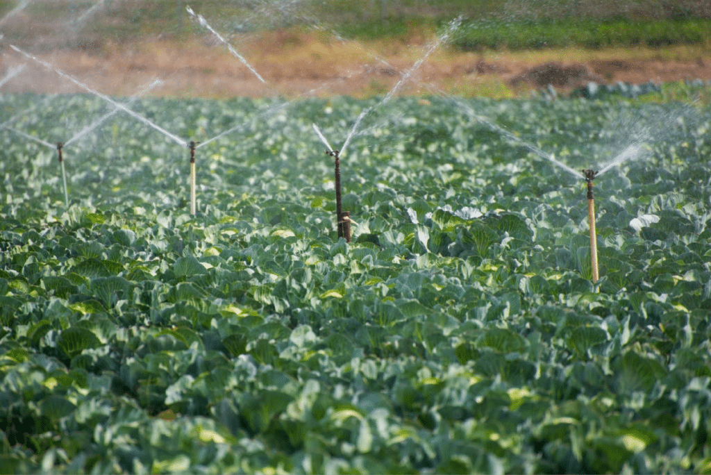 10 Important Farming Tools and Equipment For Modern Farmers